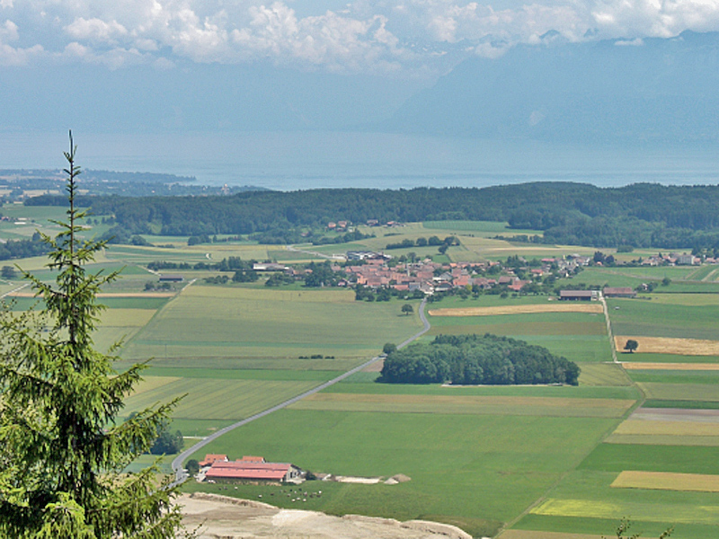 Opiniones de Ballens